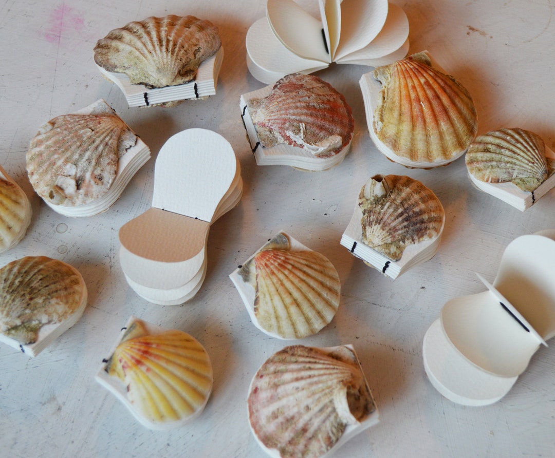Real Seashell Tiny Scallop Shell Art Journal / Blank Book / Micro ...