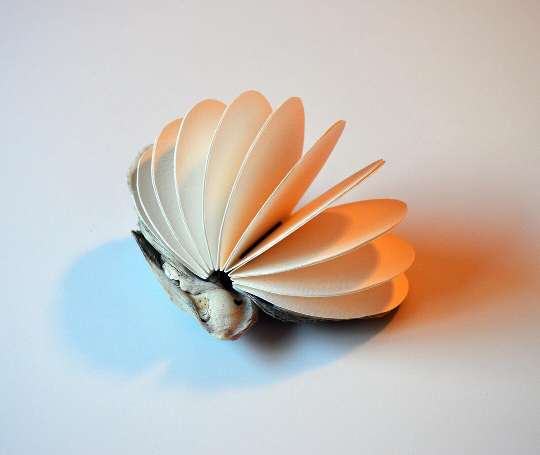 Genuine Seashell Oyster Shell Art Journal Blank Book Watercolor Paper ...
