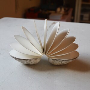 Genuine Seashell Clam Shell Art Journal Blank Book Mini Watercolor ...