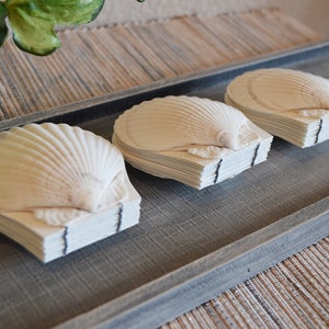 Genuine Seashell Scallop Shell Art Journal Blank Watercolor Paper ...