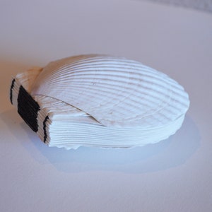 Genuine Seashell Scallop Shell Art Journal / Blank Book / - Etsy
