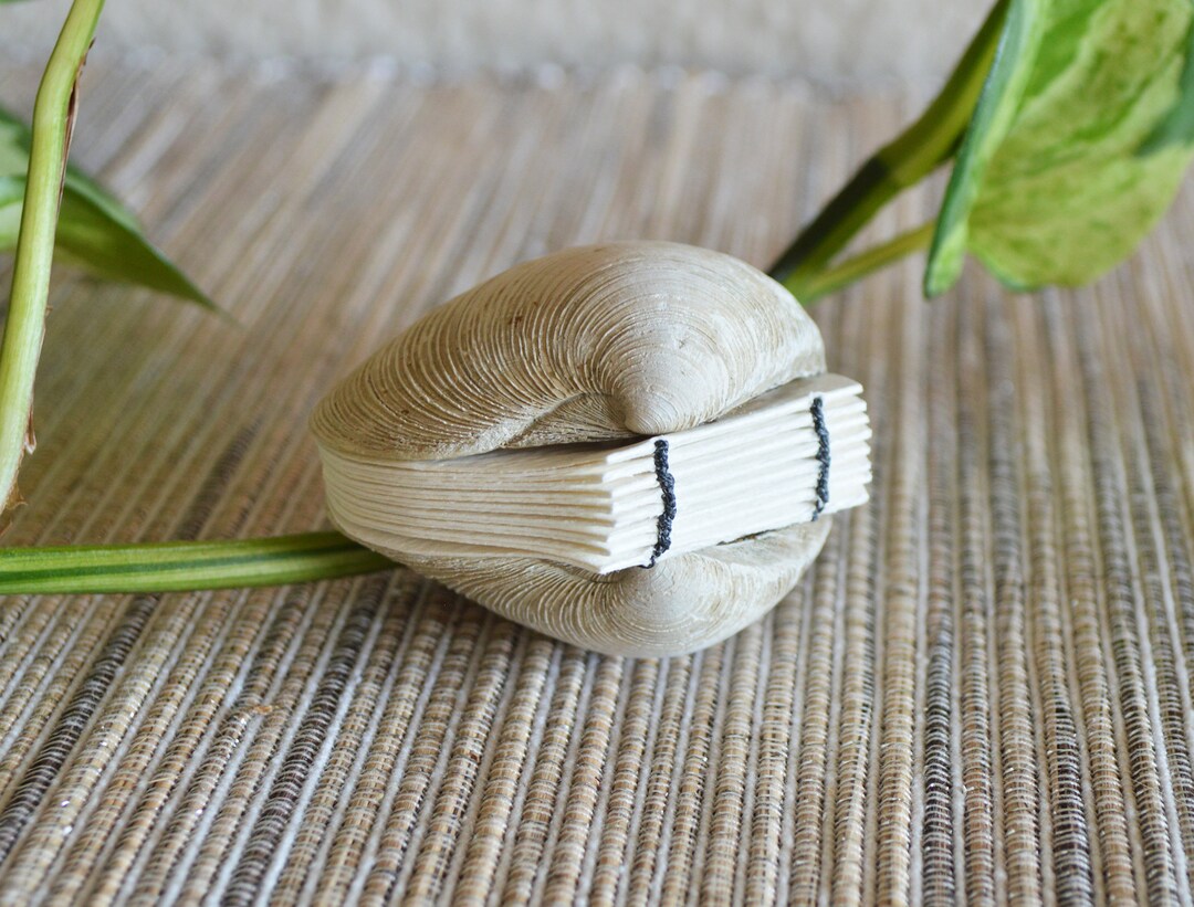 Genuine Seashell Clam Shell Art Journal / Blank Book / Mini Watercolor ...