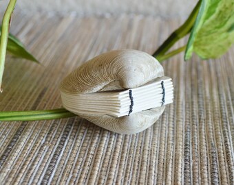 Genuine Seashell Clam Shell Art Journal / Blank Book / Mini Watercolor ...