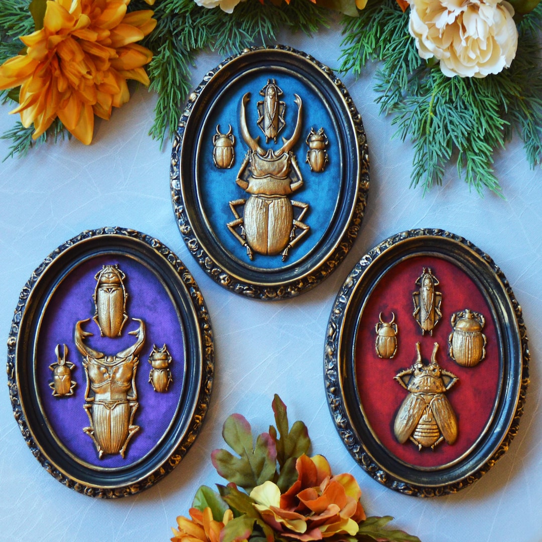 Framed Insect Decor Goth Victorian Beetle Bug Wall Art Curiosity Jewel ...