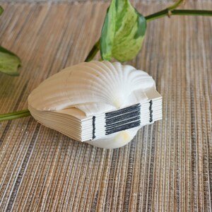 Genuine Seashell Scallop Shell Art Journal Blank Watercolor Paper ...