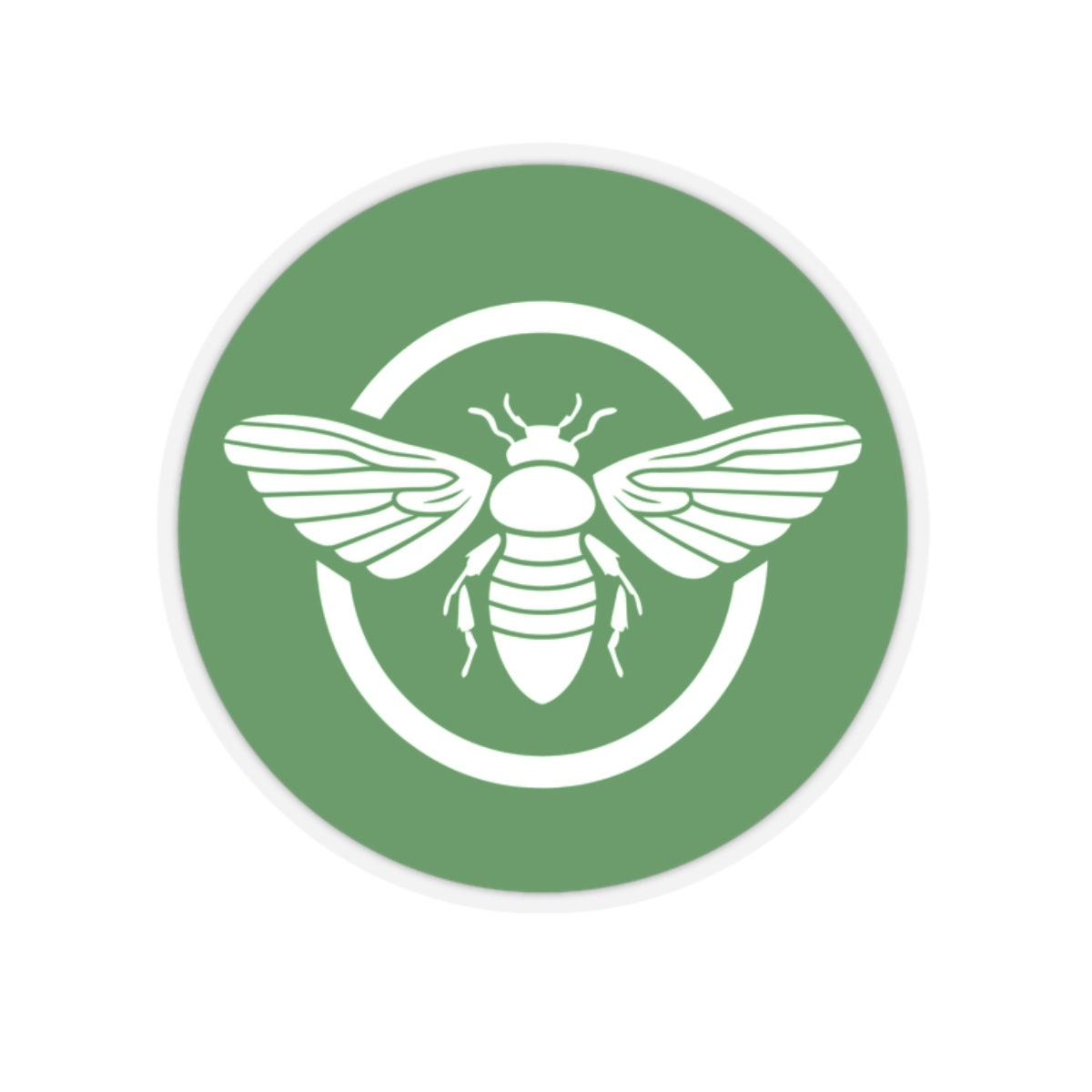 Green Cicada Stickers - Etsy