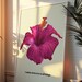 Hibiscus Flowe Affirmation Printable - Self-love Poster - Inspirational ...