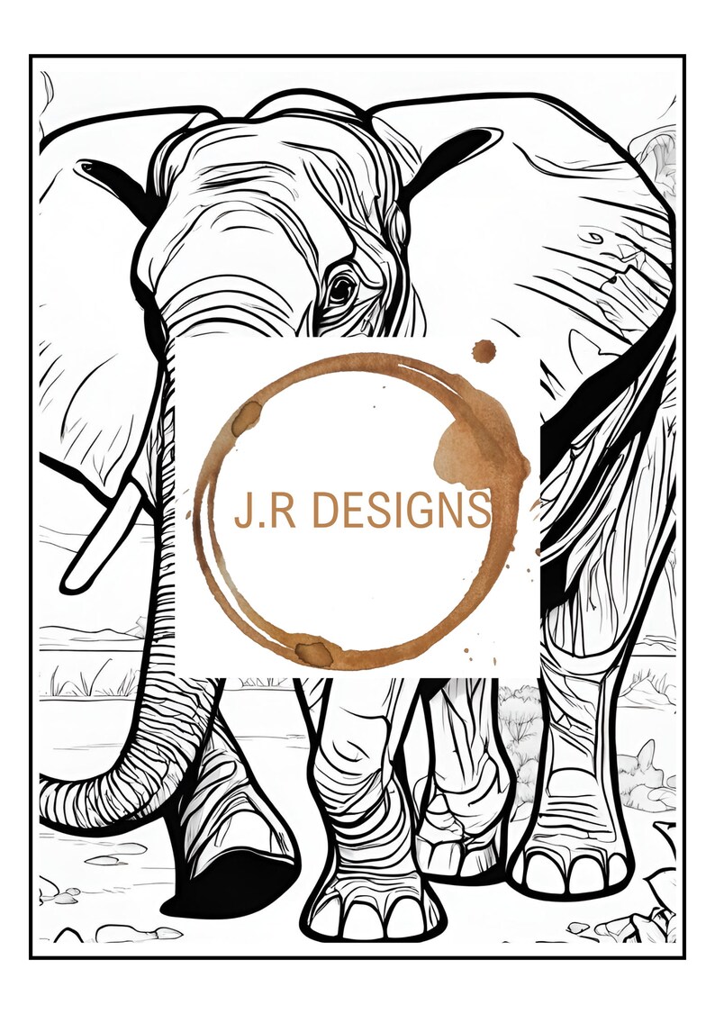 Animal Colouring Book Big Five Colouring Book Colouring Big Five Book ...