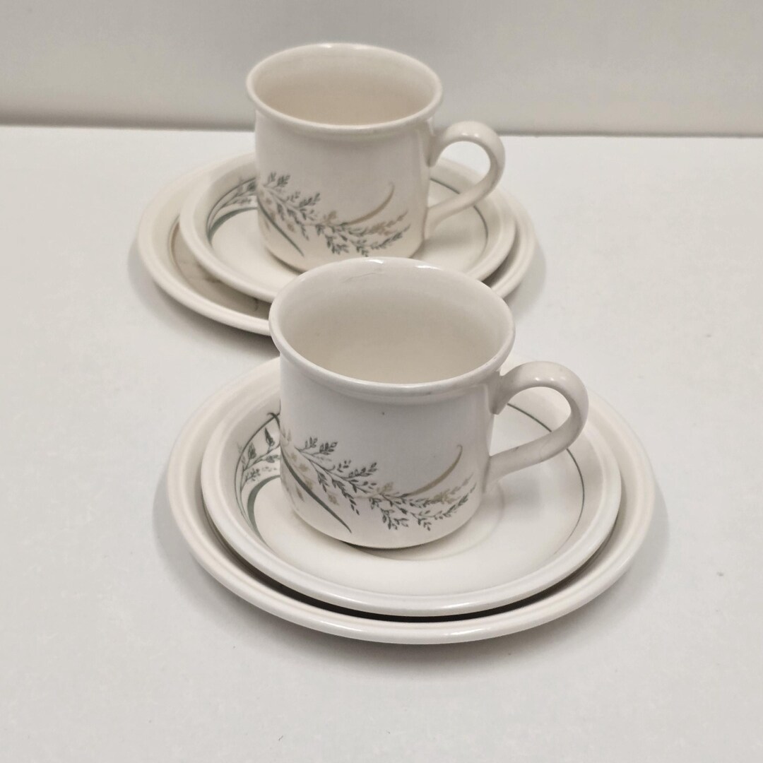 Vintage Biltons Green Grass Fern Trio Set: 2 Cups, Saucers & Tea Plates ...