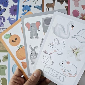 15 Color Printable Color Flashcards, Kindergarten & Homeschool Practice ...