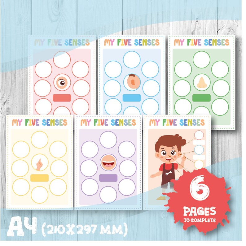 Five Senses Sorting Activity, 5 Senses Classification Game ...