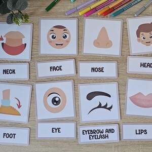 Body Parts Activity for Kids, Body Parts Matching Activity Printable ...