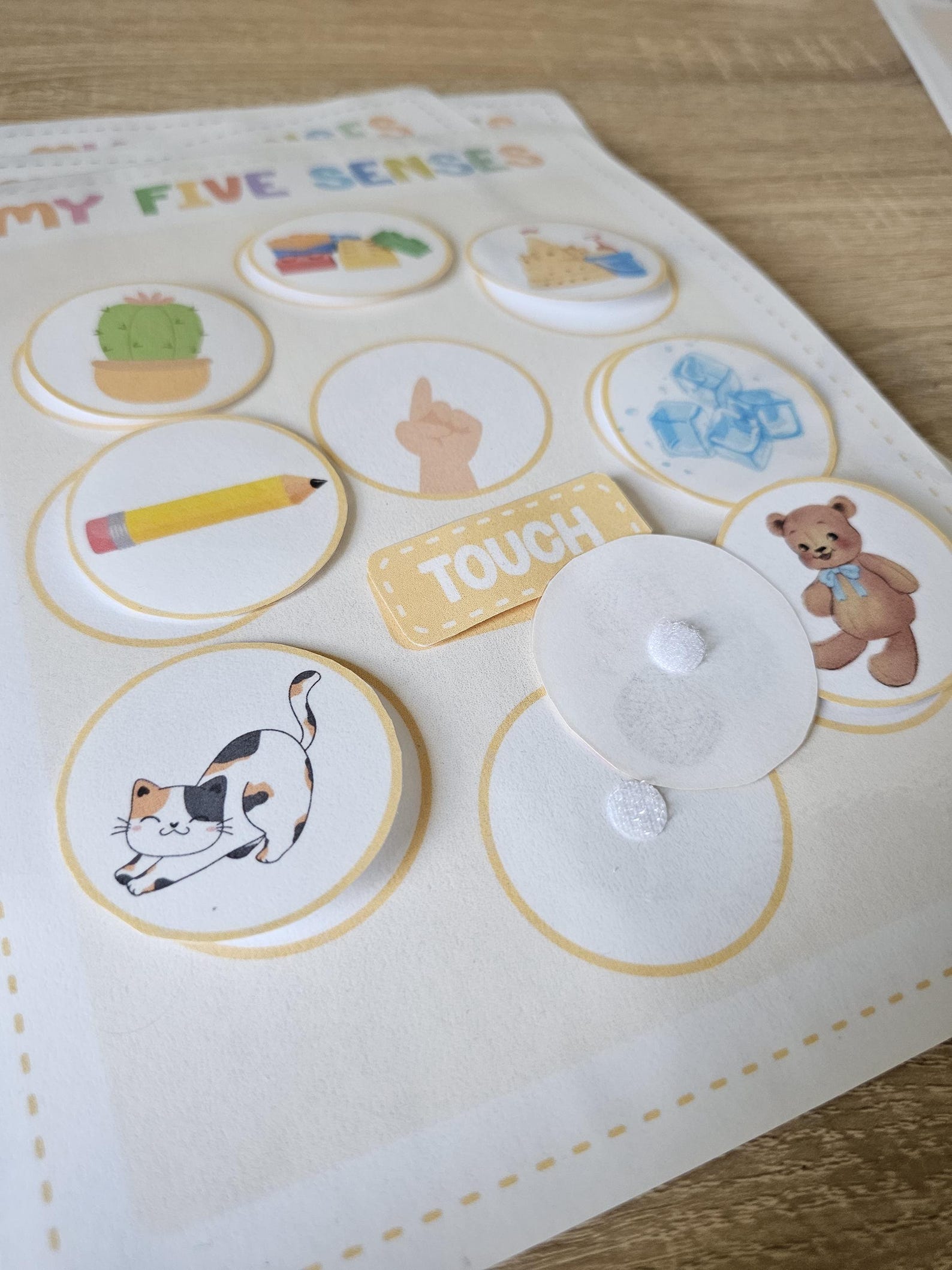 Five Senses Sorting Activity, 5 Senses Classification Game ...