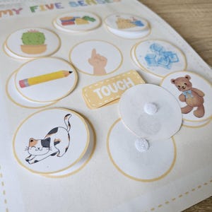 Five Senses Sorting Activity, 5 Senses Classification Game ...