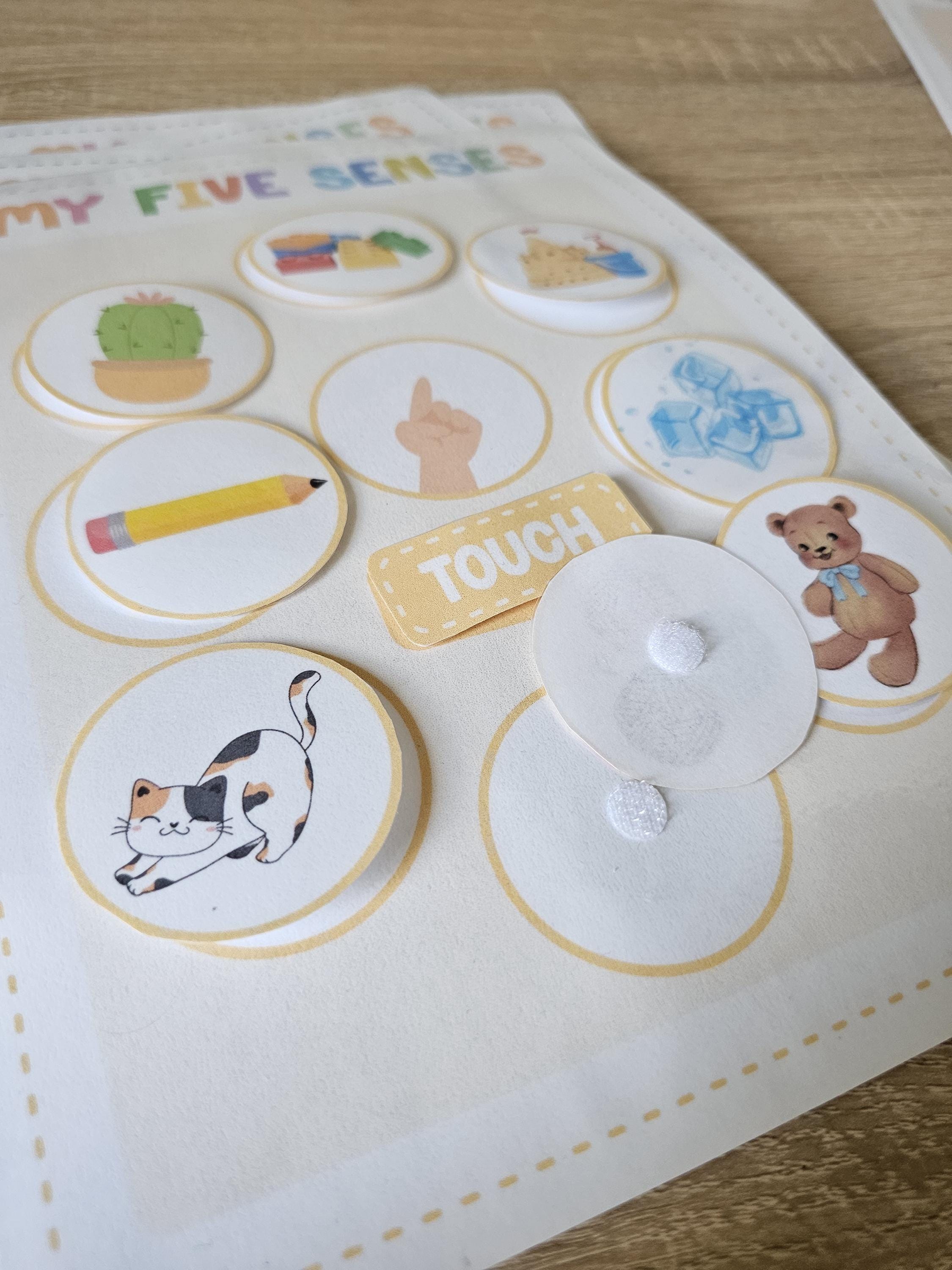 Five Senses Sorting Activity, 5 Senses Classification Game ...