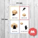 Prepositions Digital Printable Flashcards, Printable Positional ...