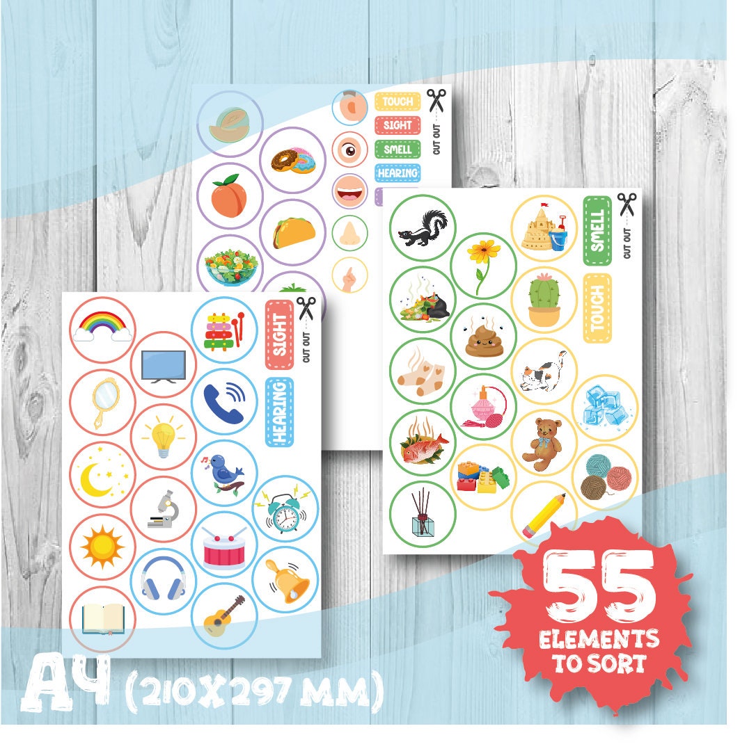 Five Senses Sorting Activity, 5 Senses Classification Game ...