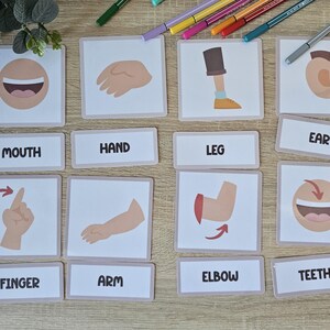 Body Parts Activity for Kids, Body Parts Matching Activity Printable ...