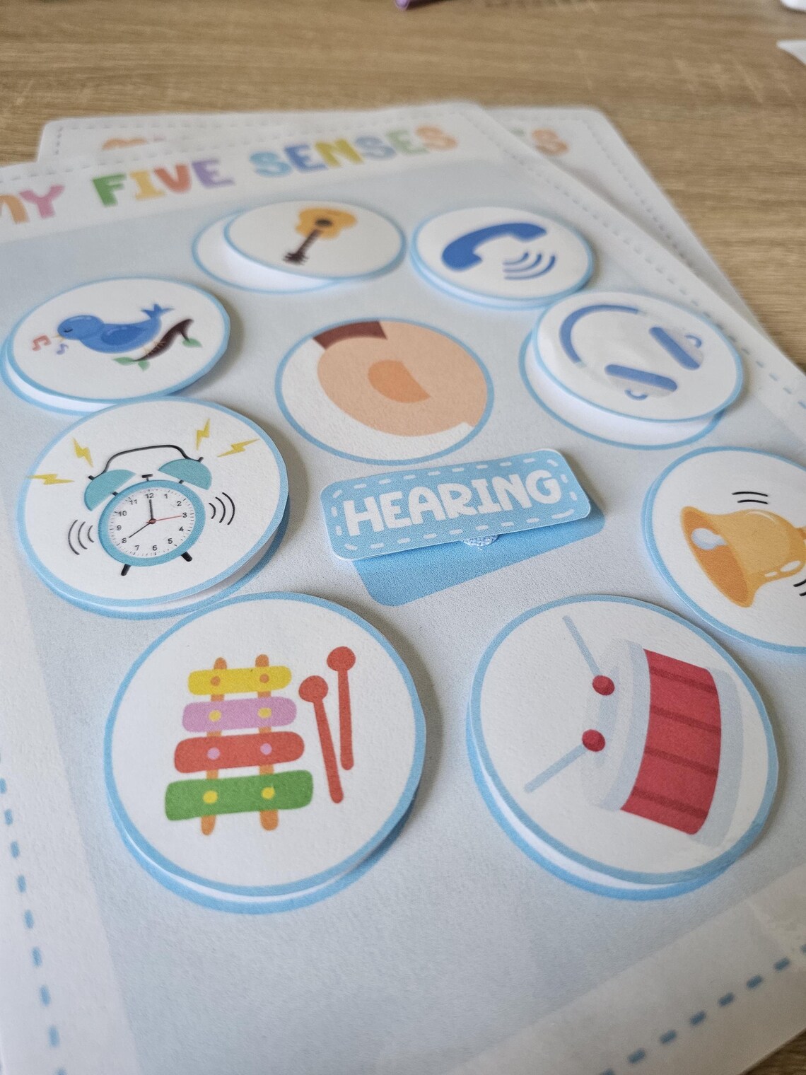 Five Senses Sorting Activity, 5 Senses Classification Game ...