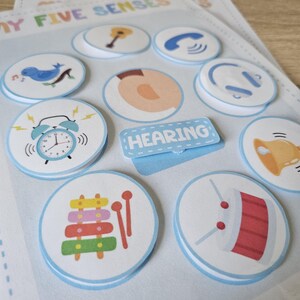 Five Senses Sorting Activity, 5 Senses Classification Game ...