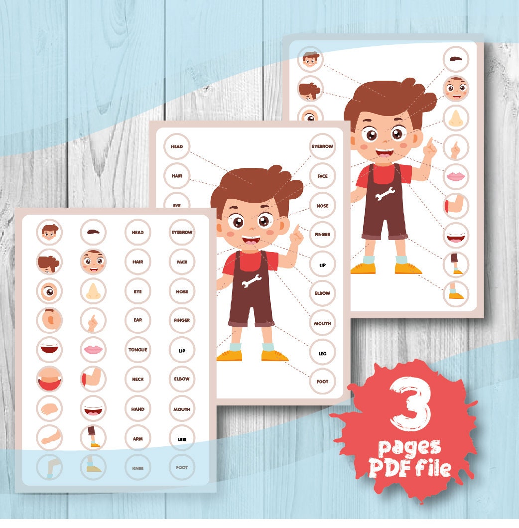 18 Body Parts Matching Activity Printable A4 Flashcards, Body Parts ...