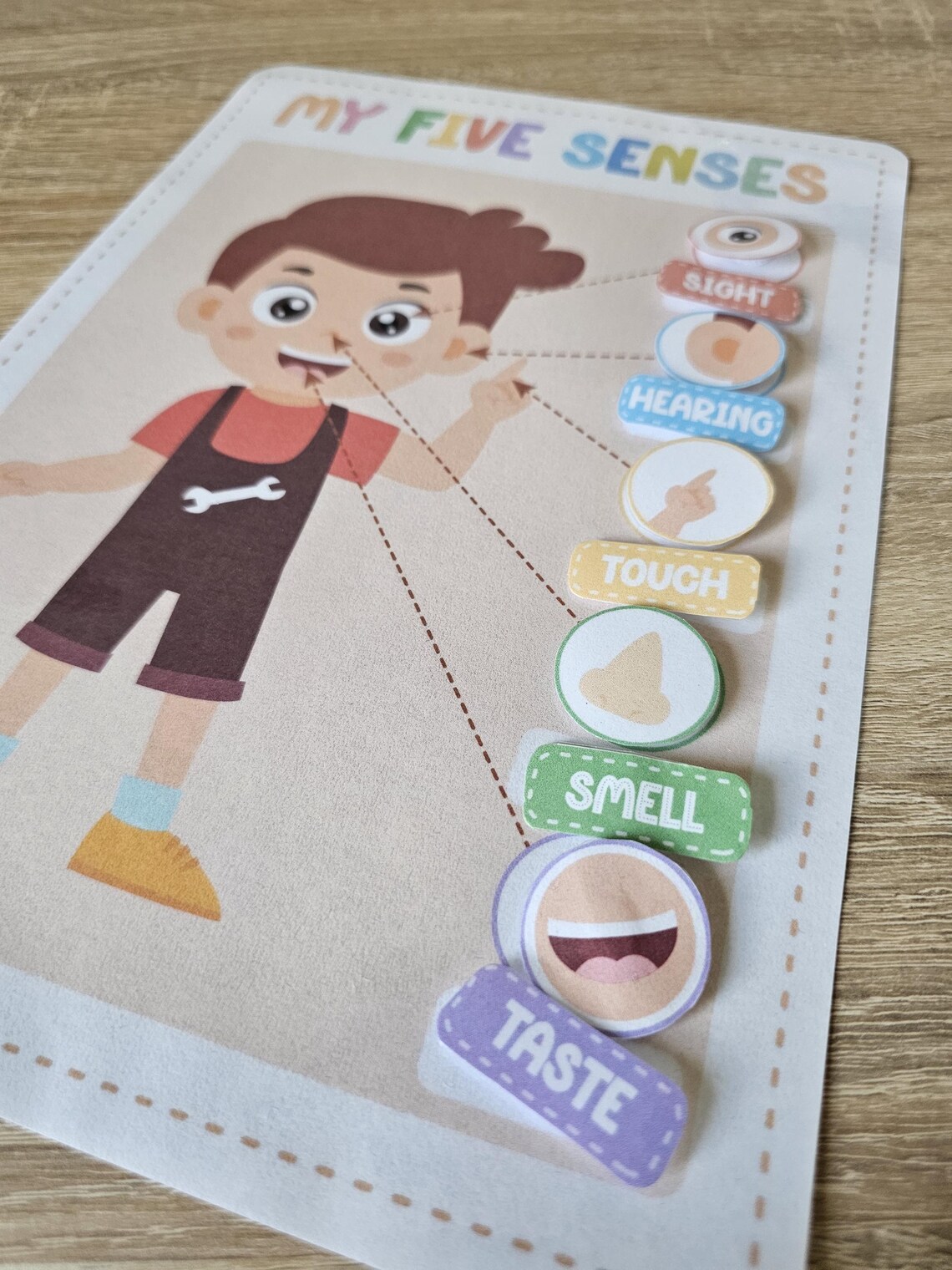 Five Senses Sorting Activity, 5 Senses Classification Game ...