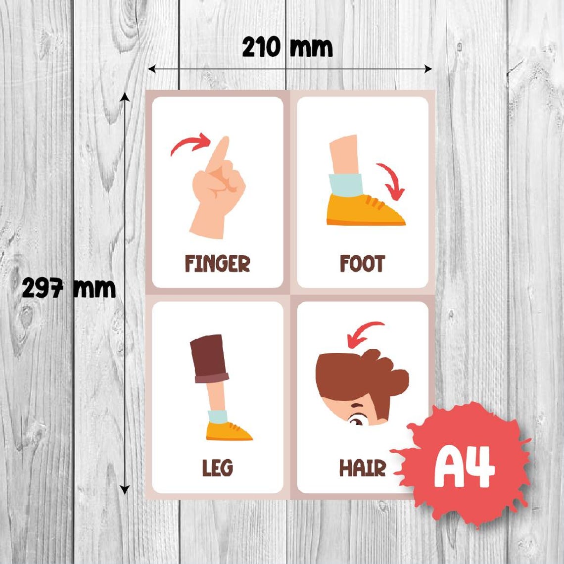 20 Body Parts Printable A4 Flashcards, Body Parts Matching Game ...