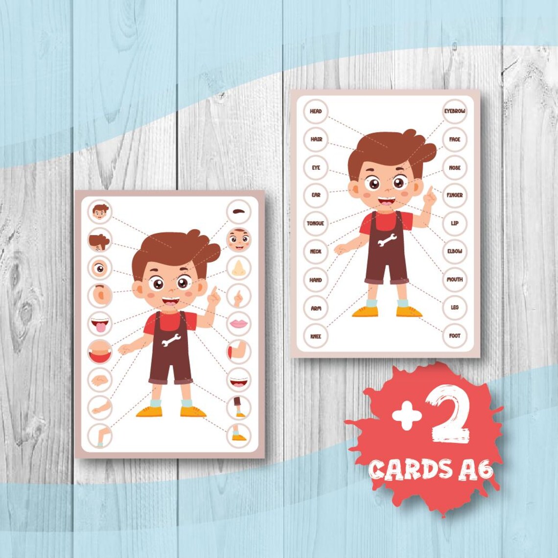 20 Body Parts Printable A4 Flashcards, Body Parts Matching Game ...