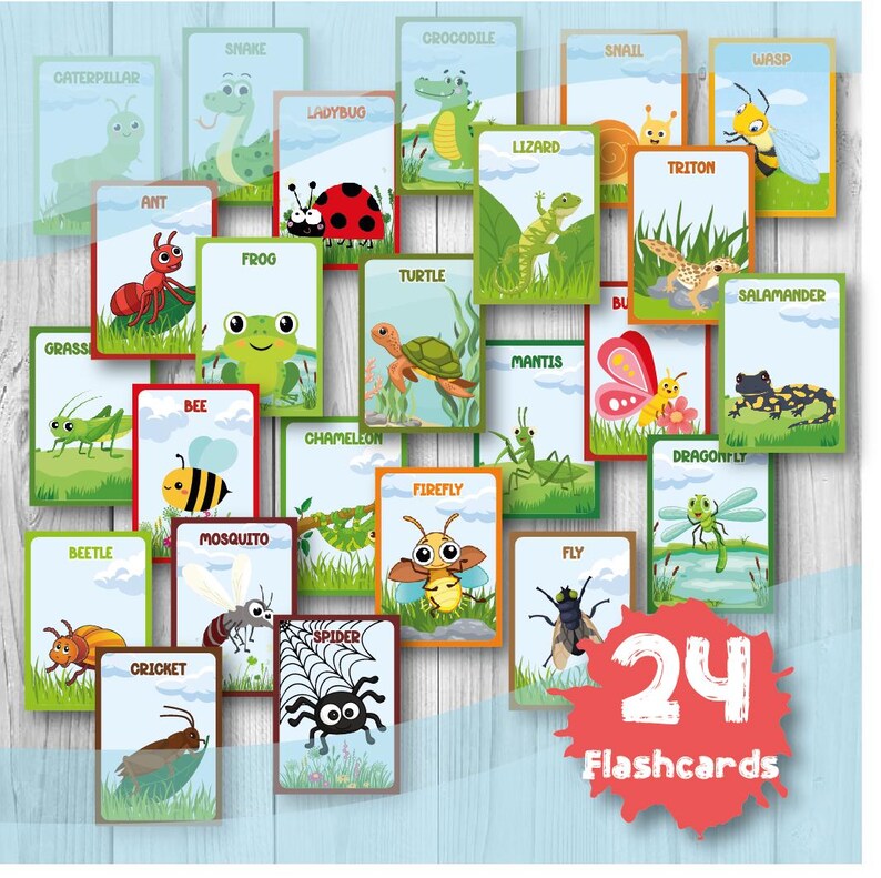 24 Insects and Reptiles Flashcards, Educational Printable Cards, Kids ...