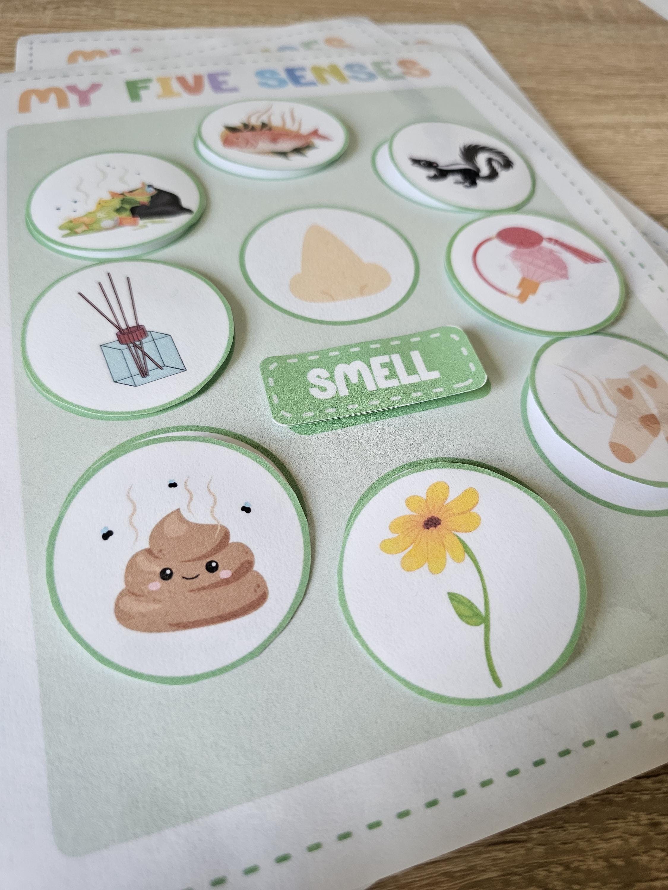 Five Senses Sorting Activity, 5 Senses Classification Game ...