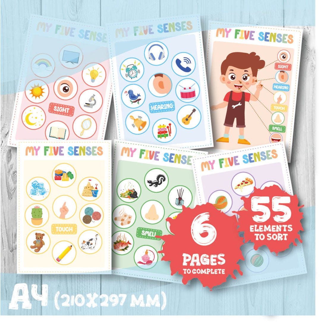 Five Senses Sorting Activity, 5 Senses Classification Game ...