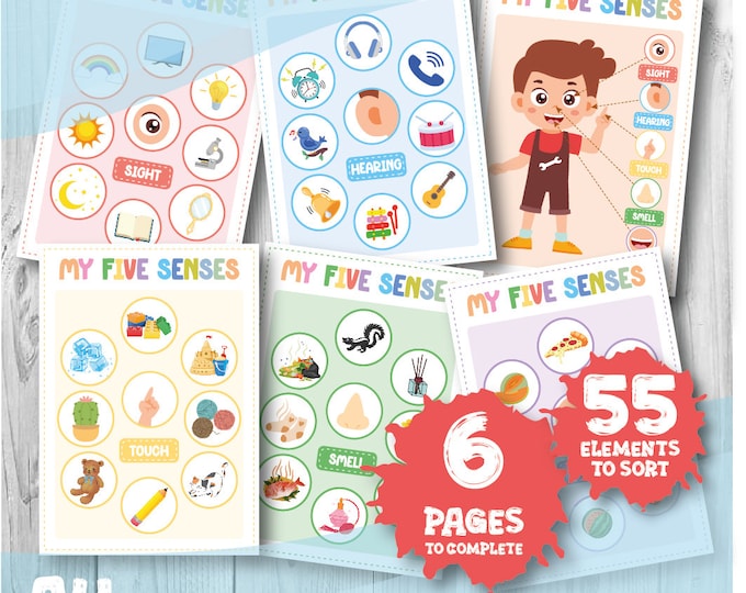 Five Senses Sorting Activity, 5 Senses Classification Game ...