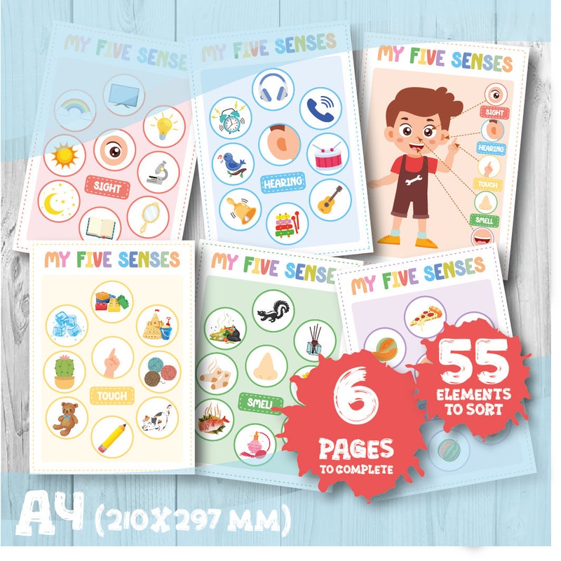 Five Senses Preschool - Etsy