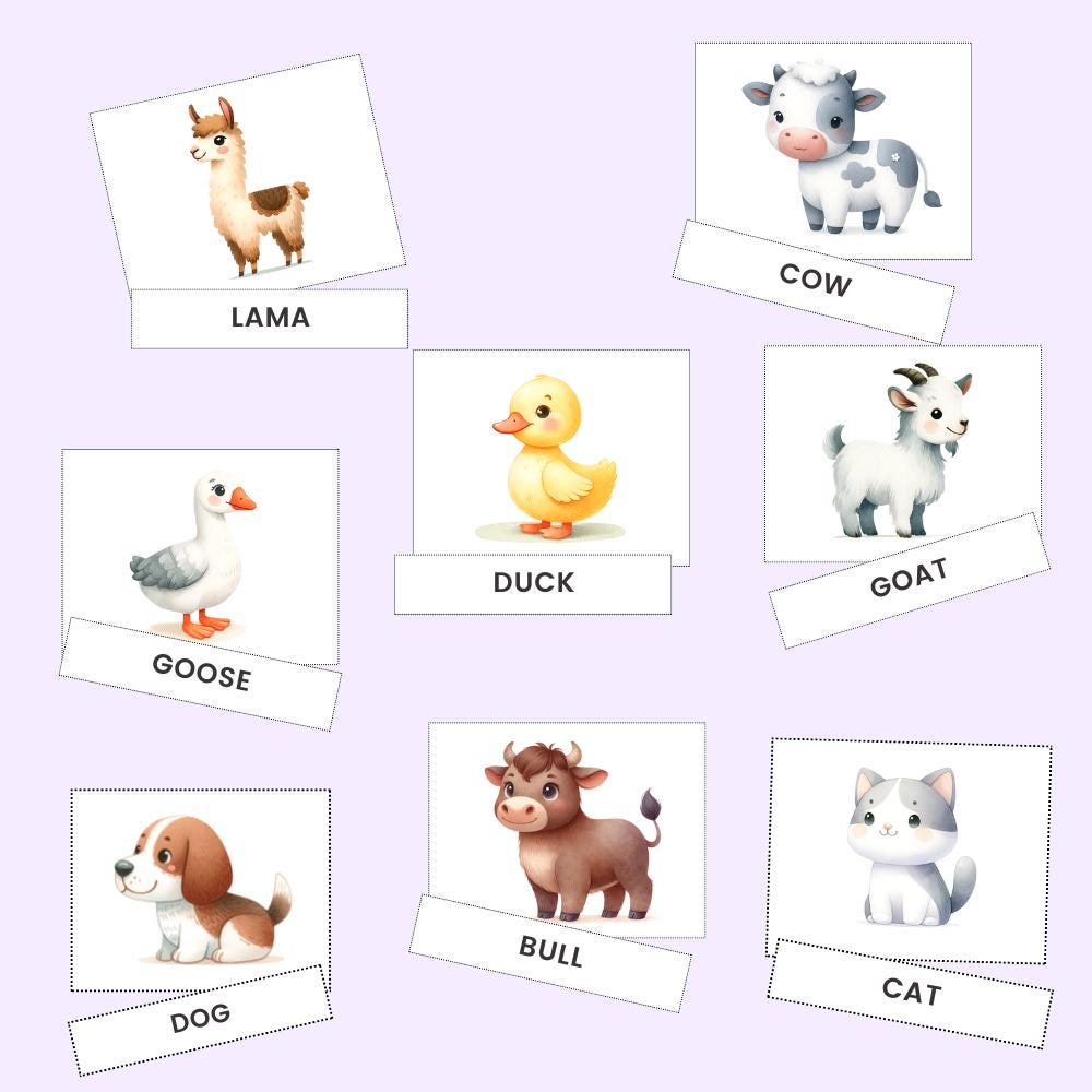 Montessori Learning Materials, Animal Flashcards, Farm Nomenclature ...