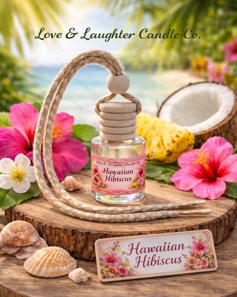 Tropical Car Diffuser 4-pack: Hawaiian Hibiscus, Pina Colada Scents - Etsy