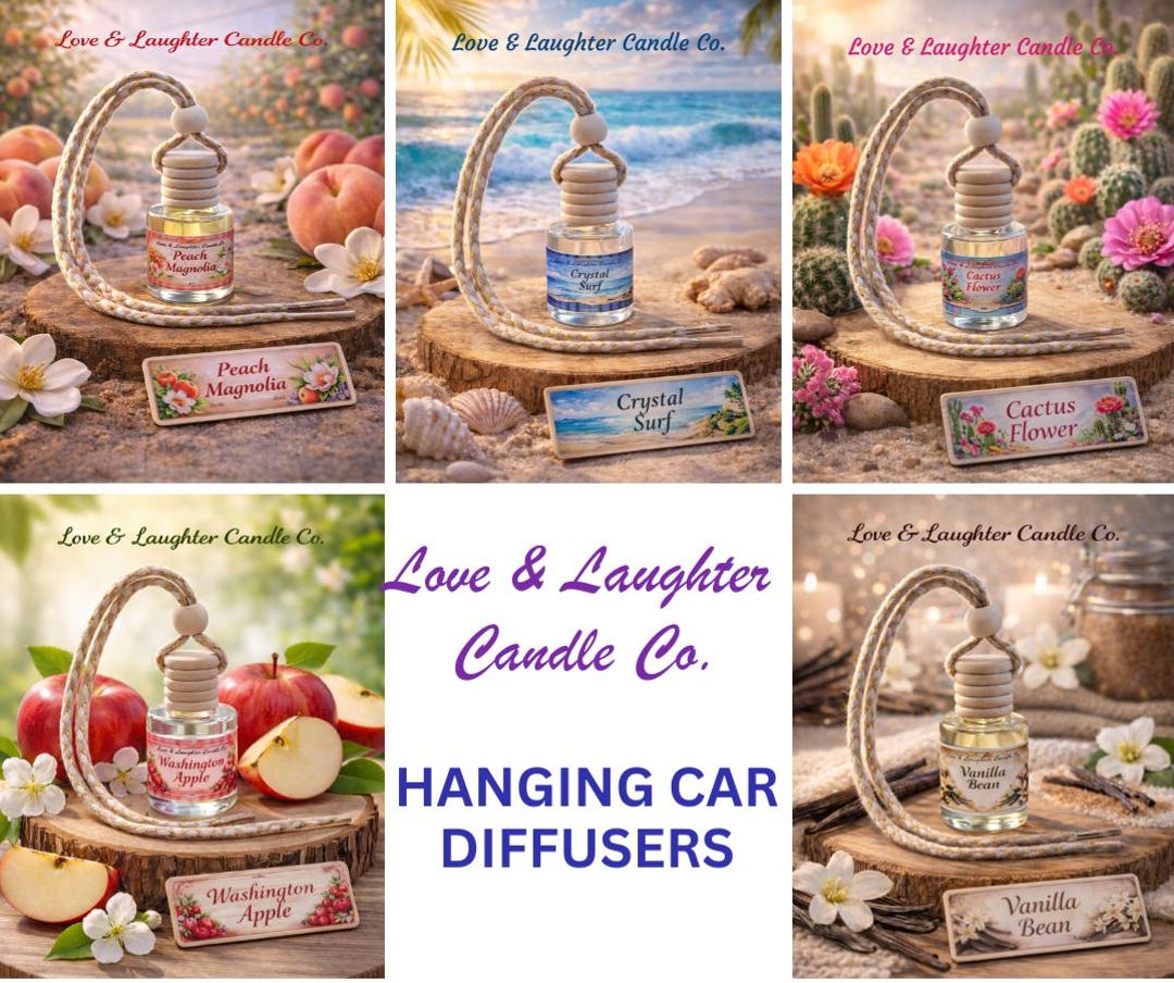 Single Hanging Car Diffusers - Etsy