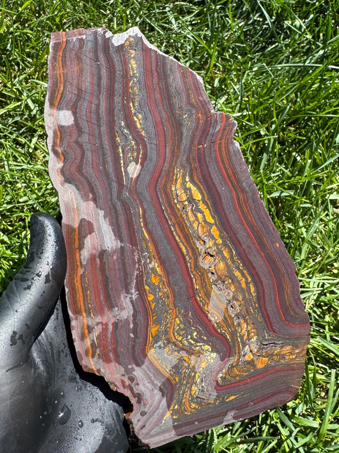 Tiger Iron - Slab - Etsy