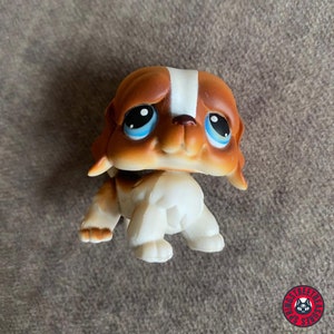 Authentic Littlest Pet Shop, LPS, Lot | Rare LPS | Dogs | - Etsy