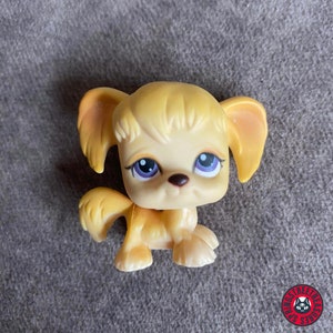 Authentic Littlest Pet Shop, LPS, Lot | Rare LPS | Dogs | - Etsy