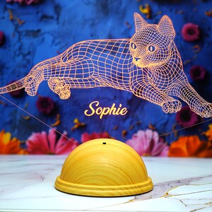 Cat Personalized 3D Led Lamp - Customizable LED Bedside Night Light ...