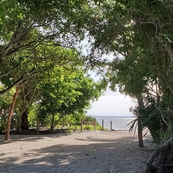 Signed Photograph - Etsy