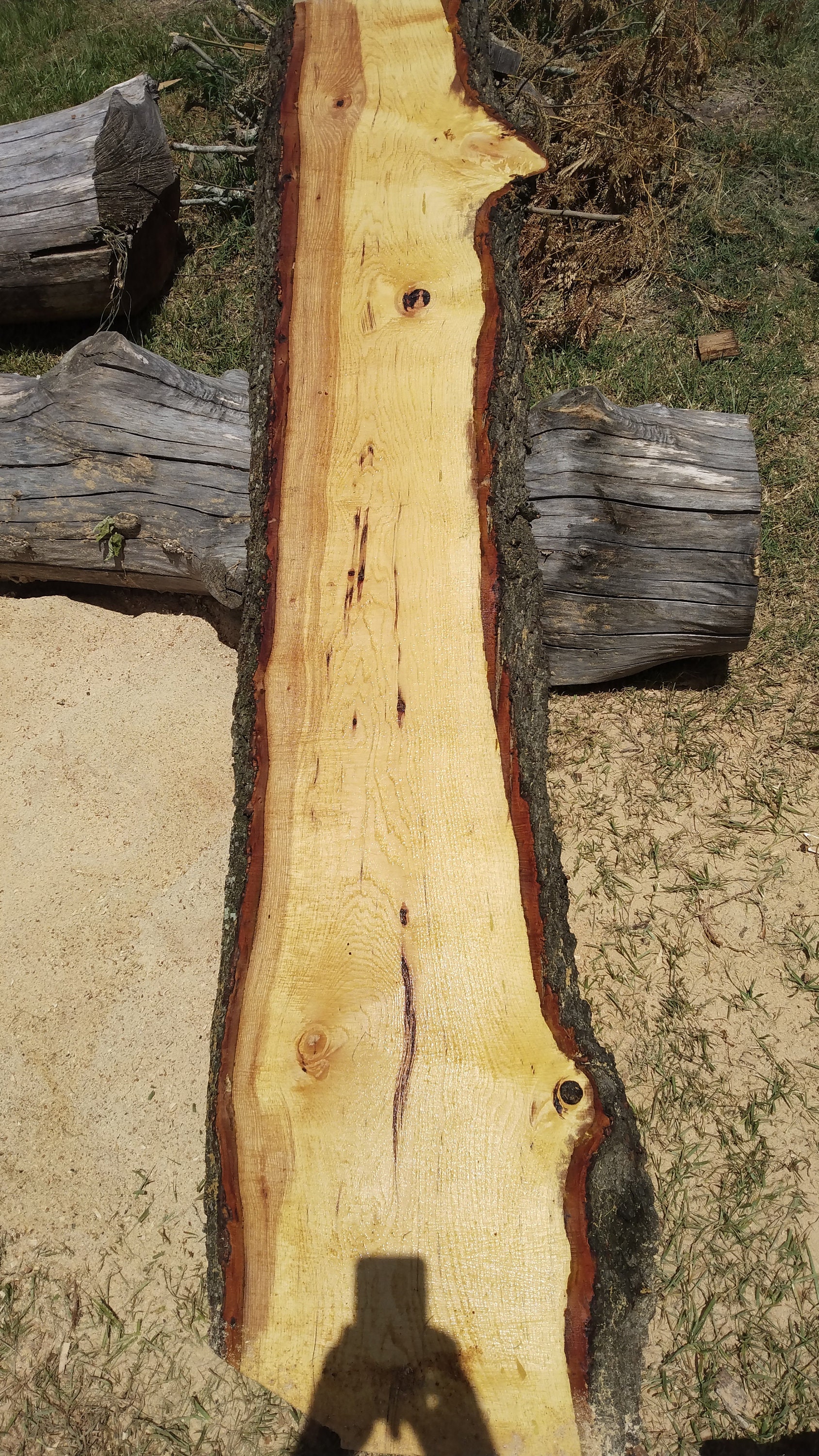 Live Edge Hickory Slabs Drying Required Green Slabs - Etsy