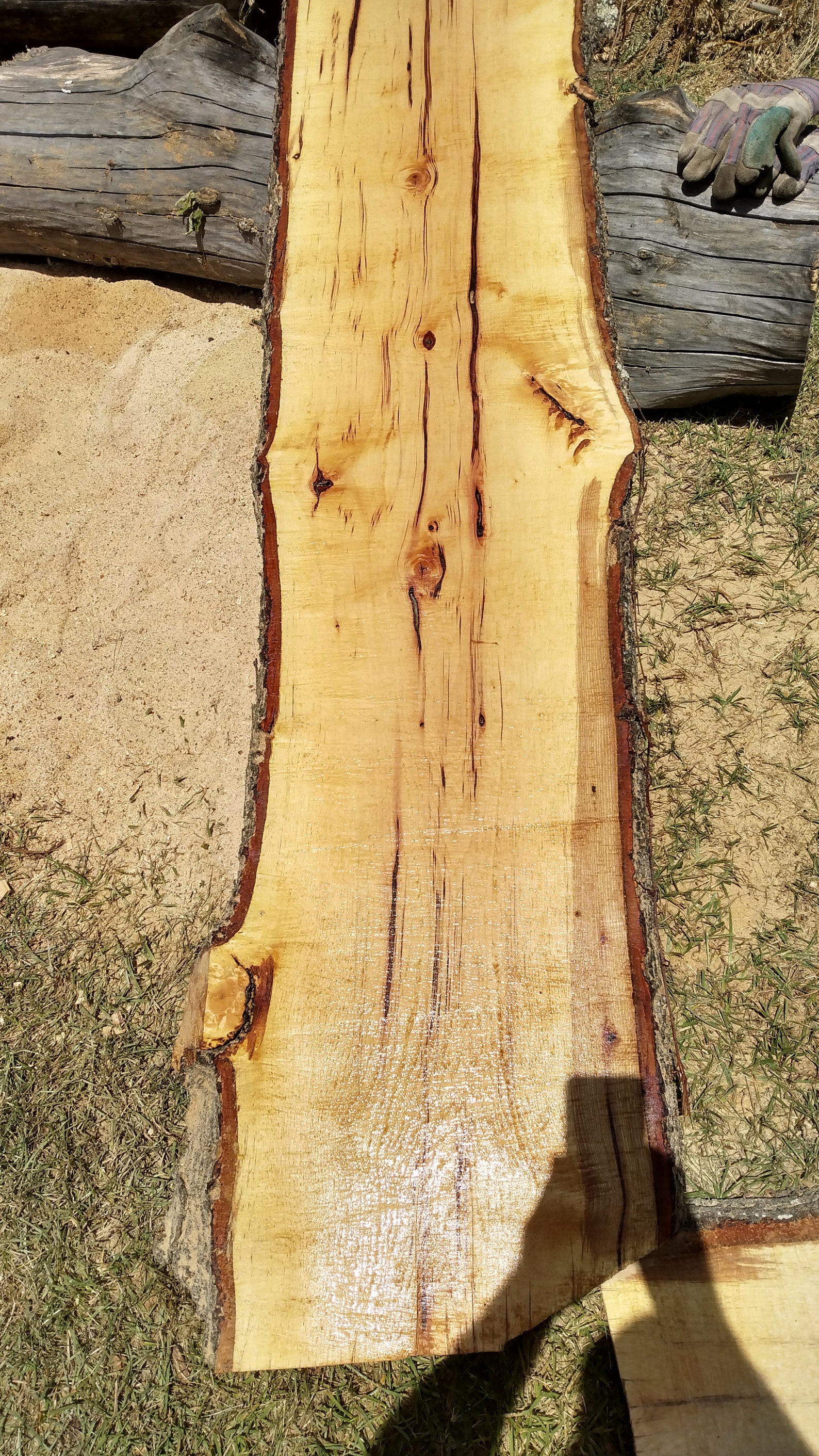 Live Edge Hickory Slabs Drying Required Green Slabs - Etsy