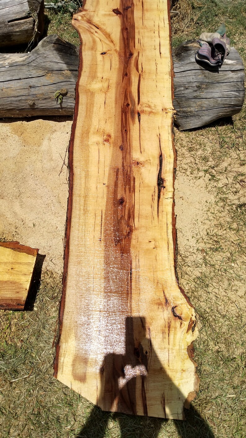 Live Edge Hickory Slabs Drying Required Green Slabs - Etsy