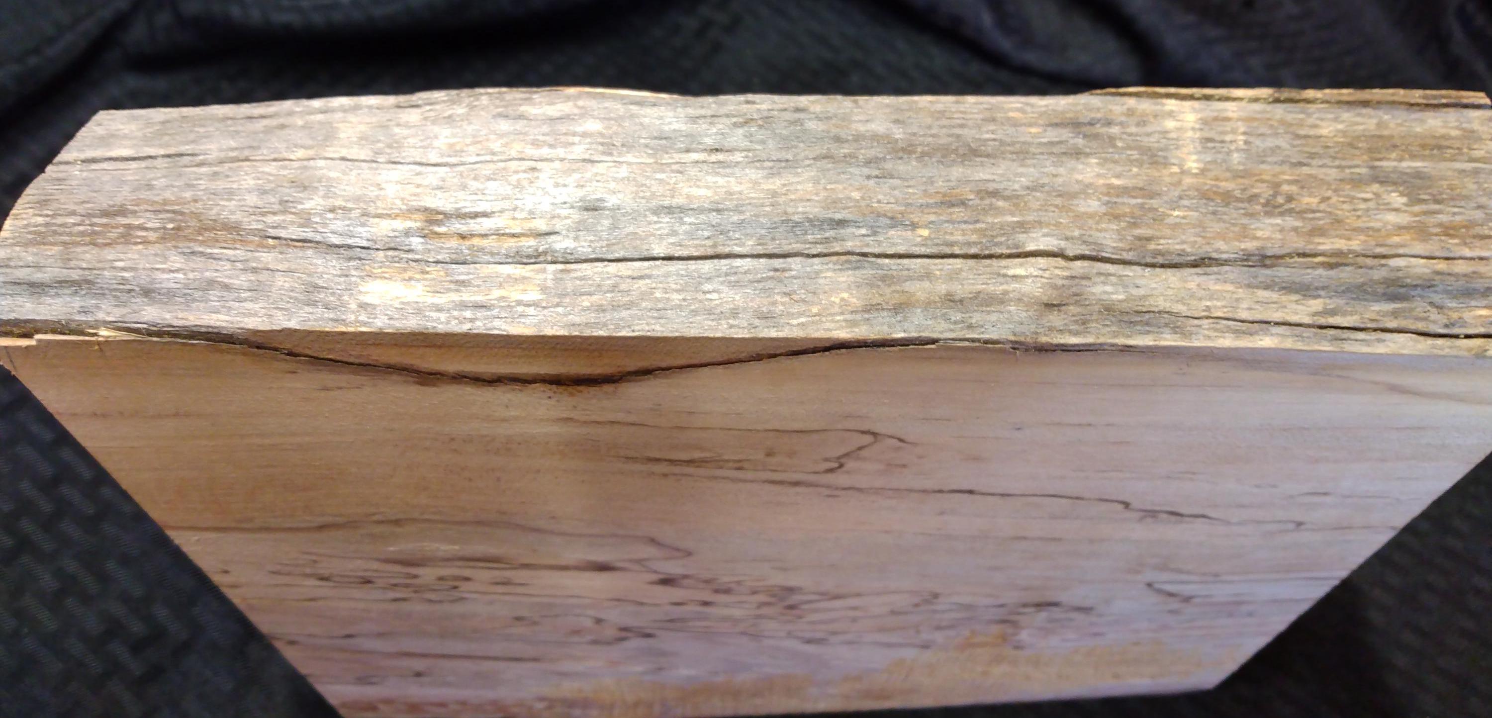 Spalted Maple Blank 10 | 8"x10" | Live Edge | - Etsy