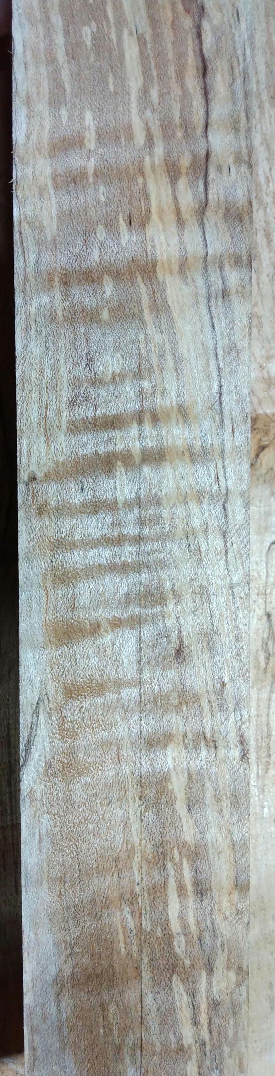 Spalted Maple Curly Tiger Blank 02 Live Edge - Etsy