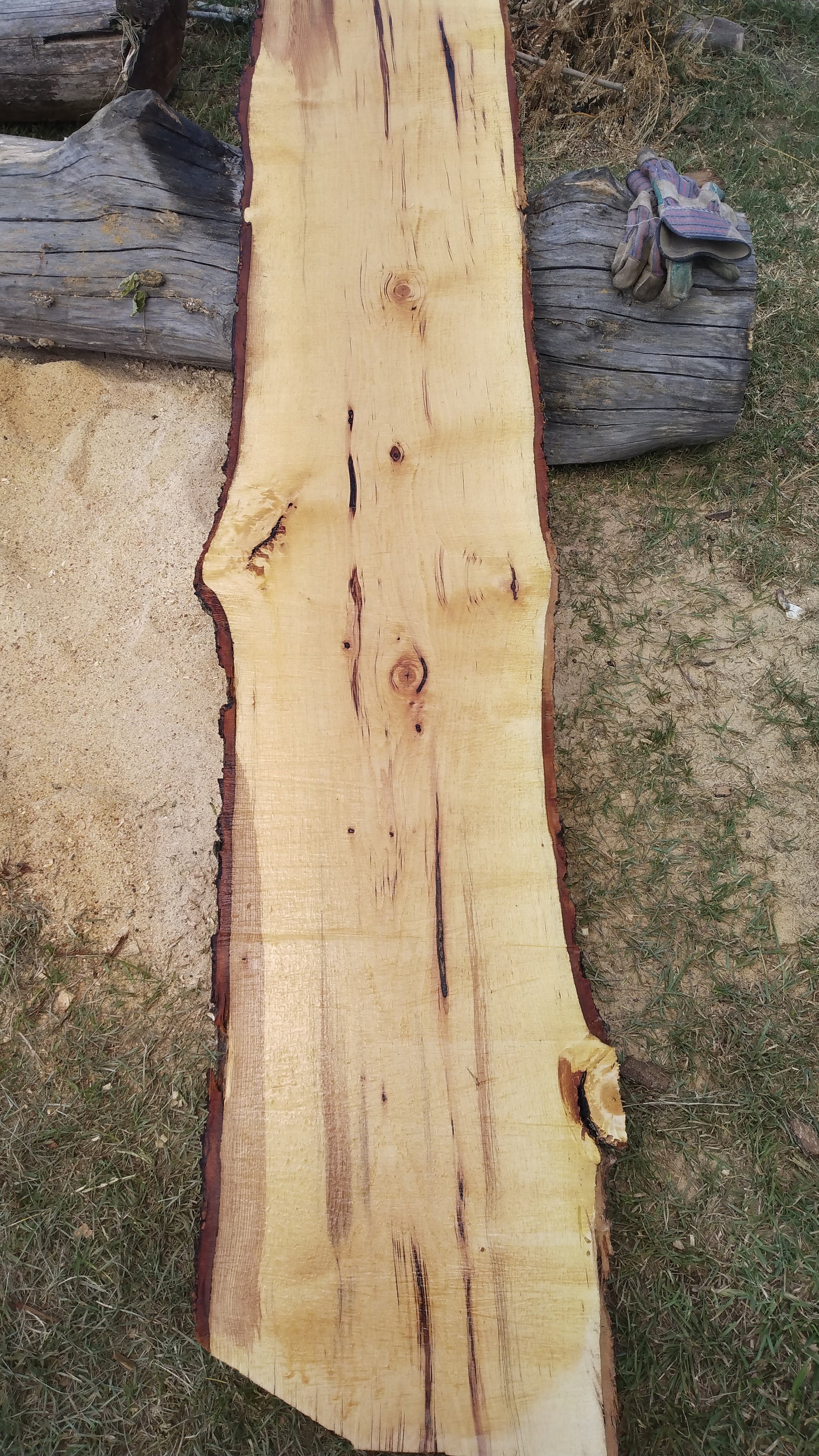 Live Edge Hickory Slabs Drying Required Green Slabs - Etsy