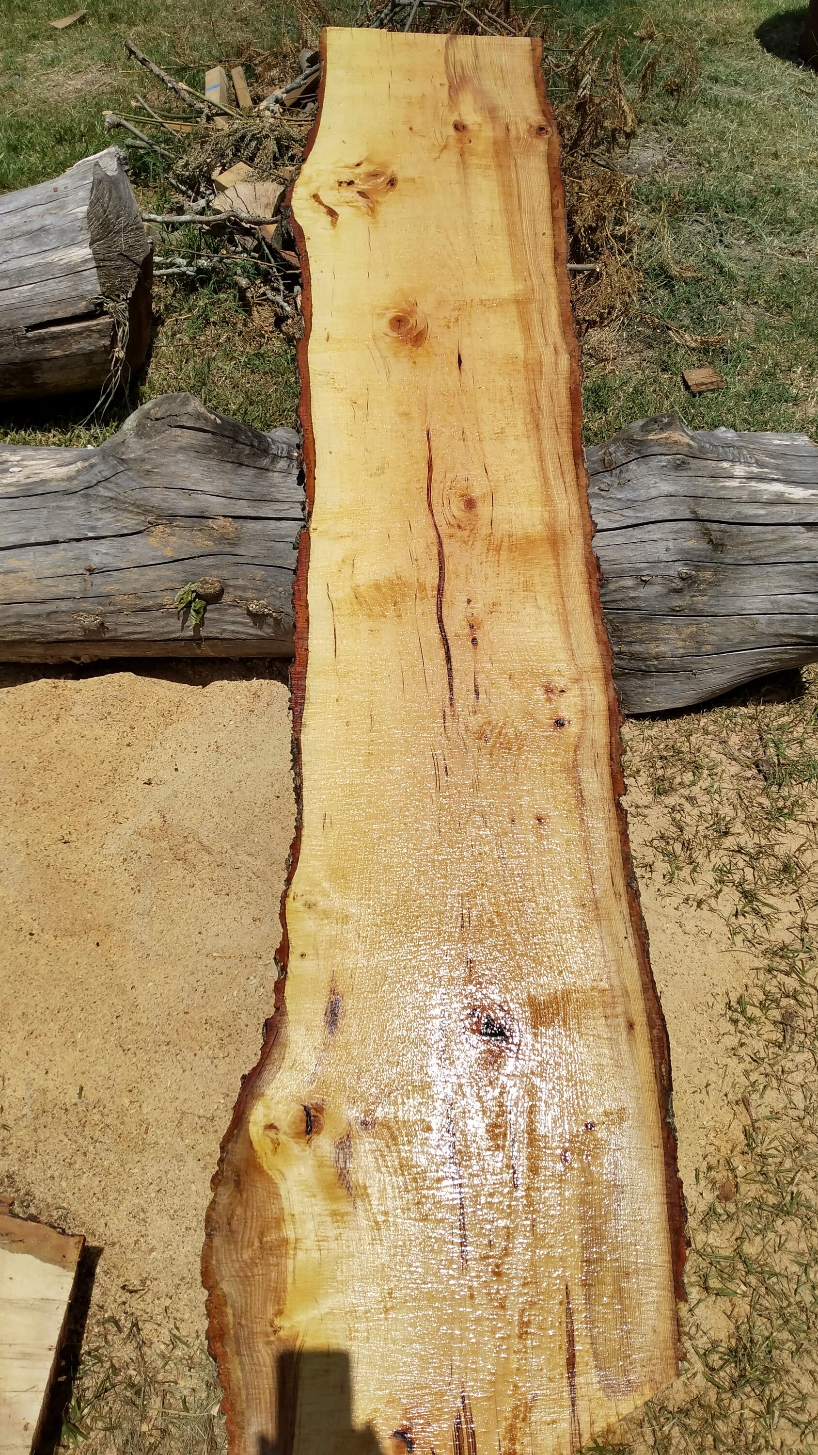 Live Edge Hickory Slabs Drying Required Green Slabs - Etsy