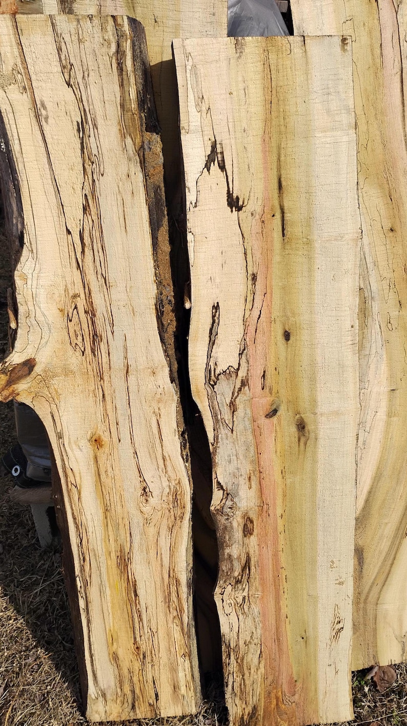 Spalted Poplar Bowl Blanks | 4"-8" X 2" - 2.5" | Wood Turning | - Etsy