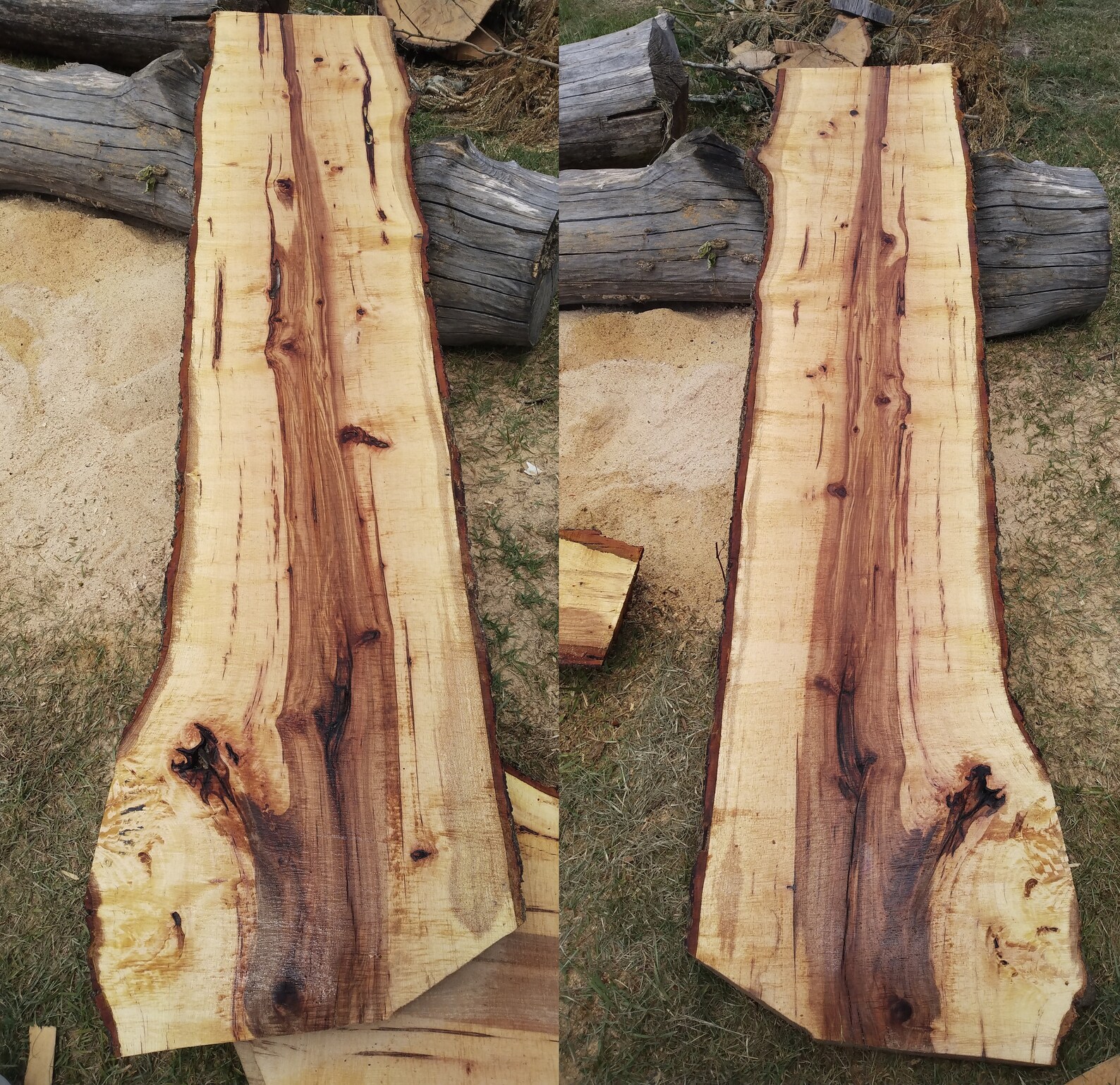 Live Edge Hickory Slabs Drying Required Green Slabs - Etsy